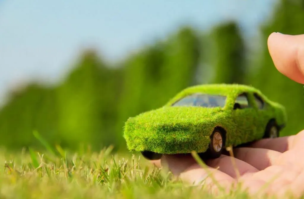 Ways on how to take care of the environment – Refu Blog in English